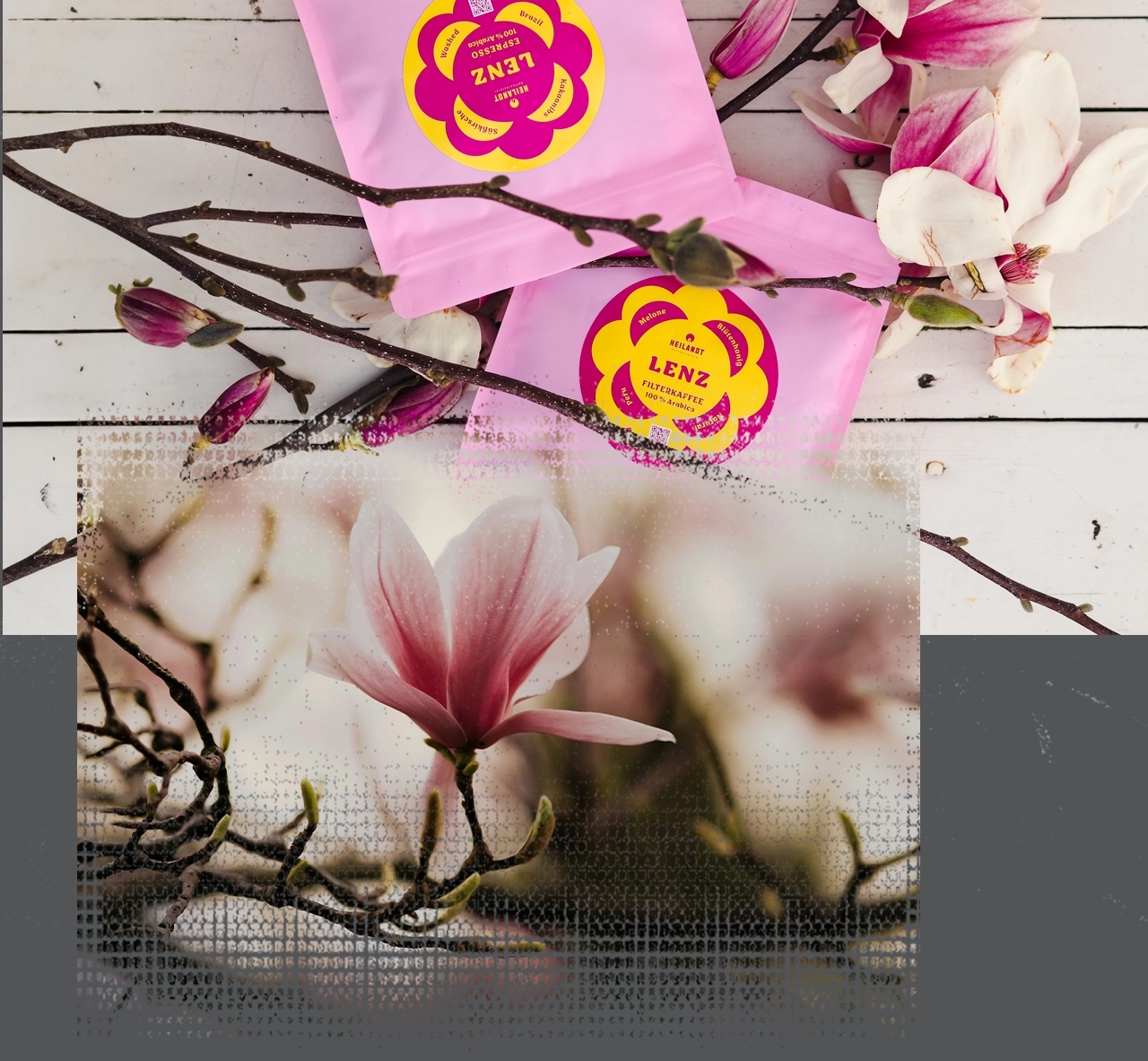 100% Direct Trade Kaffee online bestellen | Heilandt – Heilandt